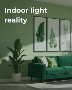 Indoor Light Reality: Why Plants Need More Light Than You Think (Espec ...